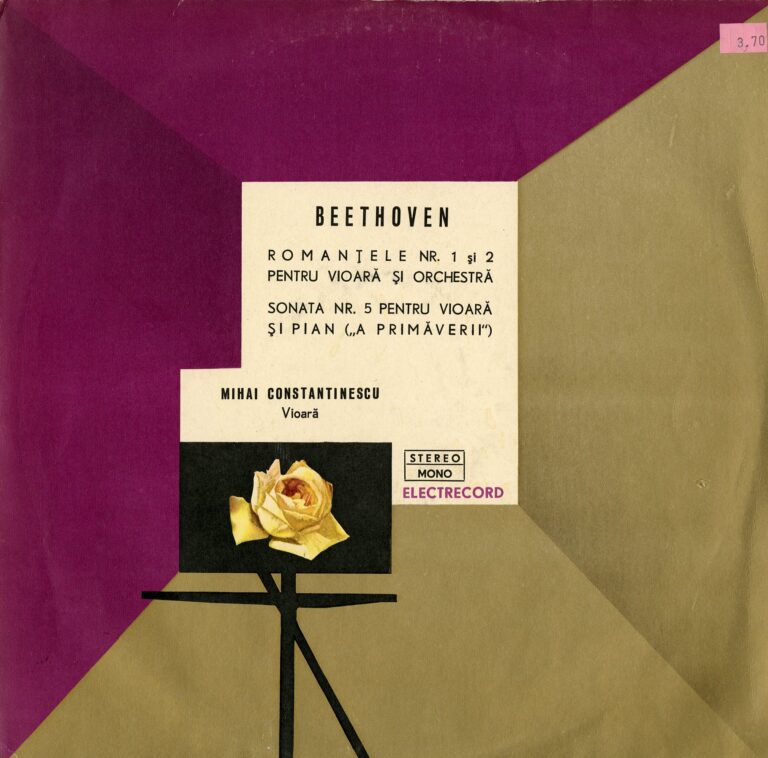 New arrival | La Voce 京都