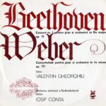 尼 ELECTRECORD ECE 0424 | La Voce 京都